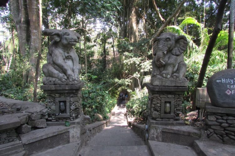 photo diary: ubud, indonesia aerialovely