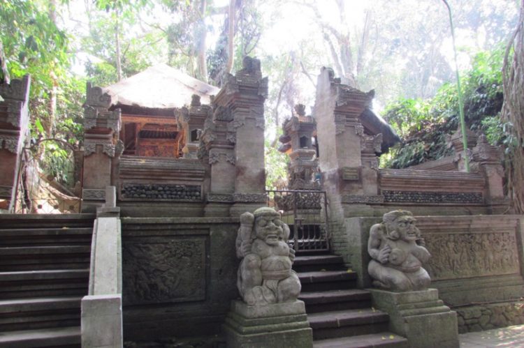 photo diary: ubud, indonesia aerialovely