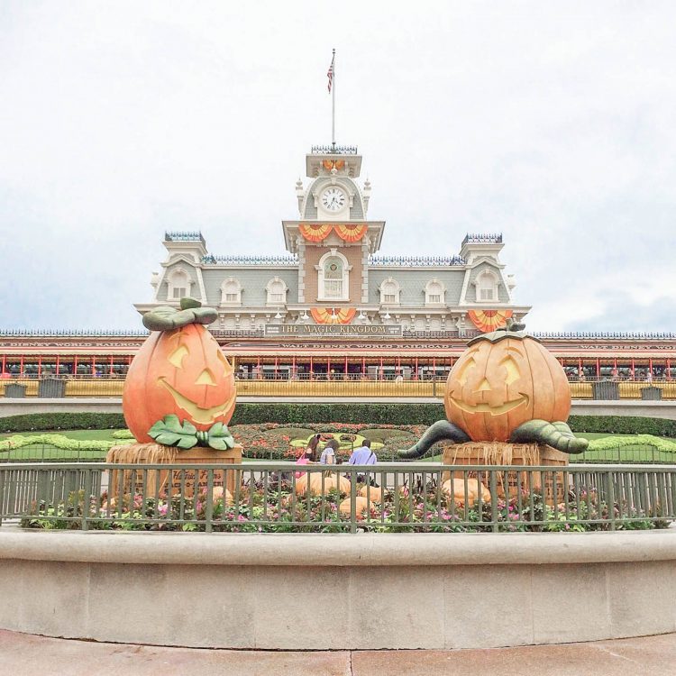 my disney world experience aerialovely