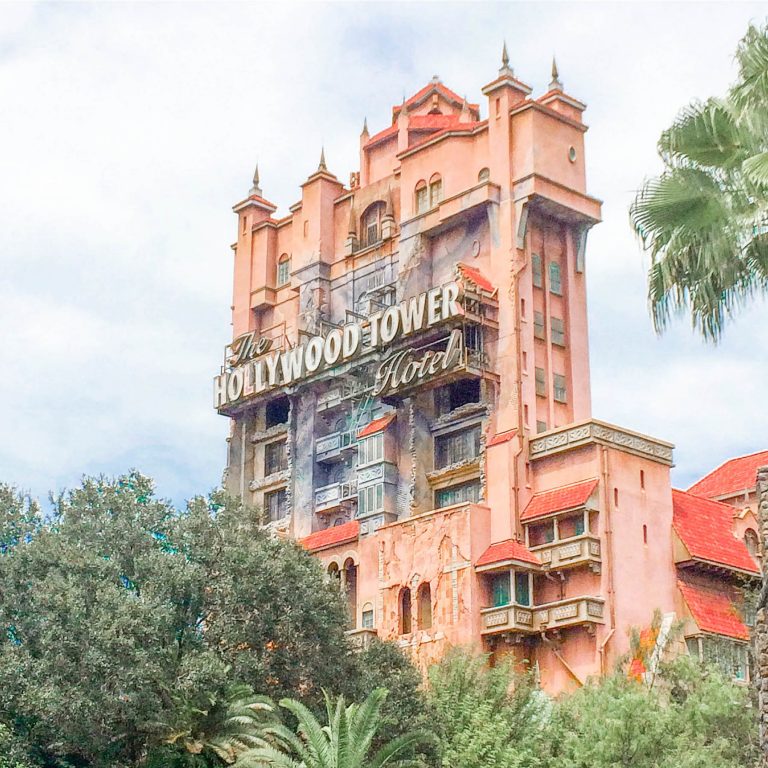 my disney world experience aerialovely