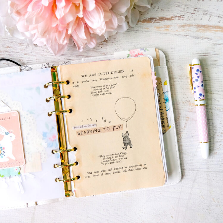 introduction in my daybook of dreams | journal with me 41 aerialovely